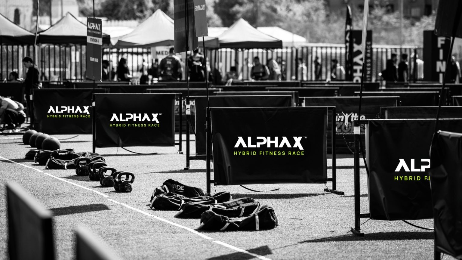 Find My Race – AlphaX